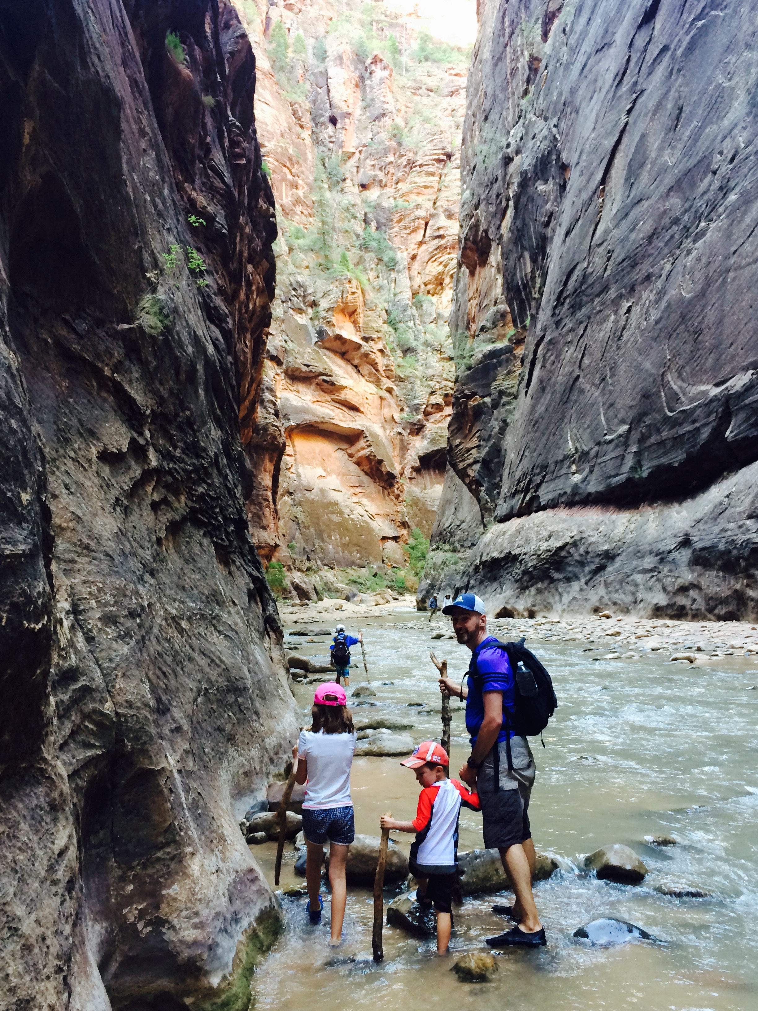 Zion-Powell-Antilope