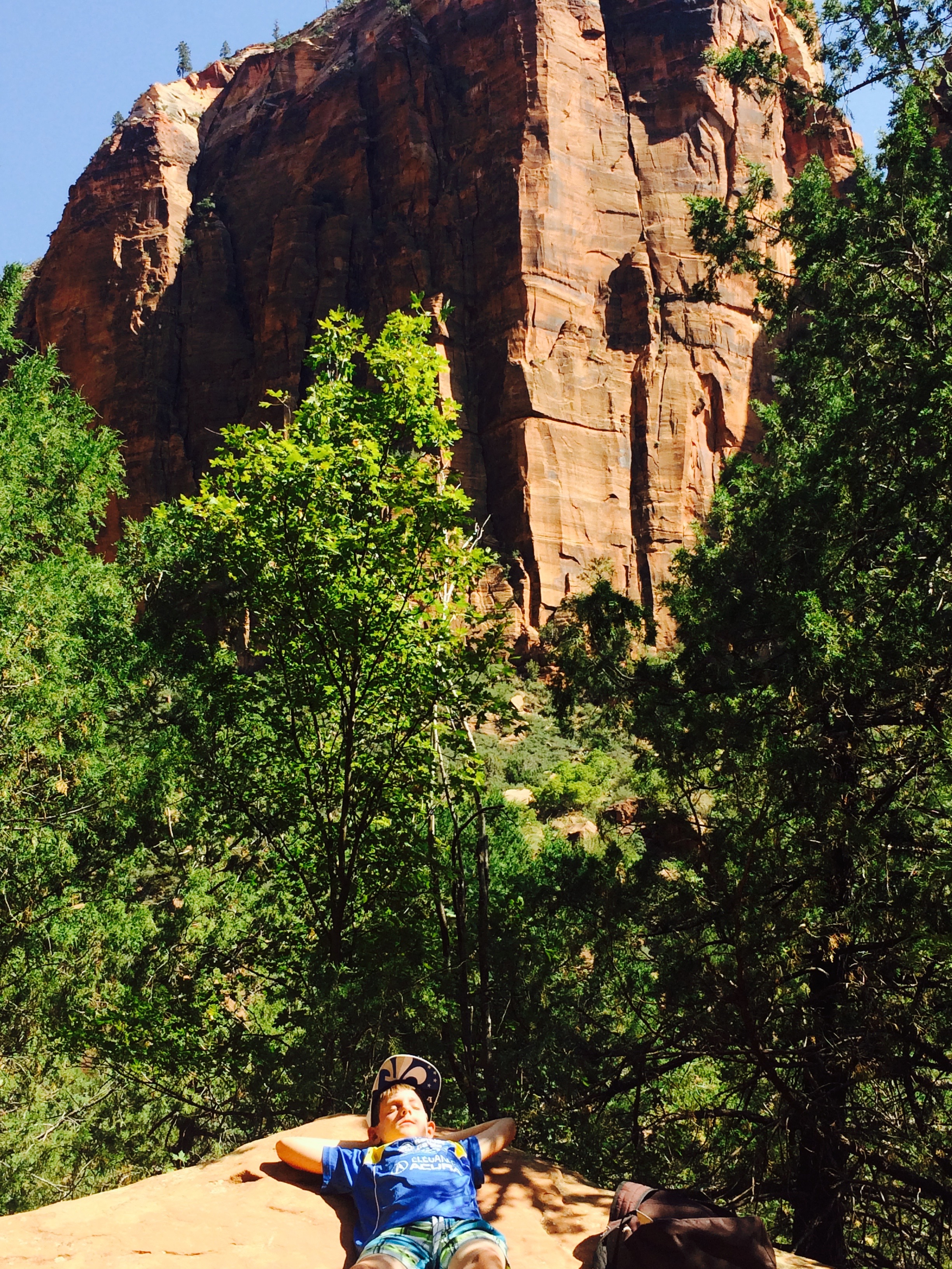 Zion-Powell-Antilope