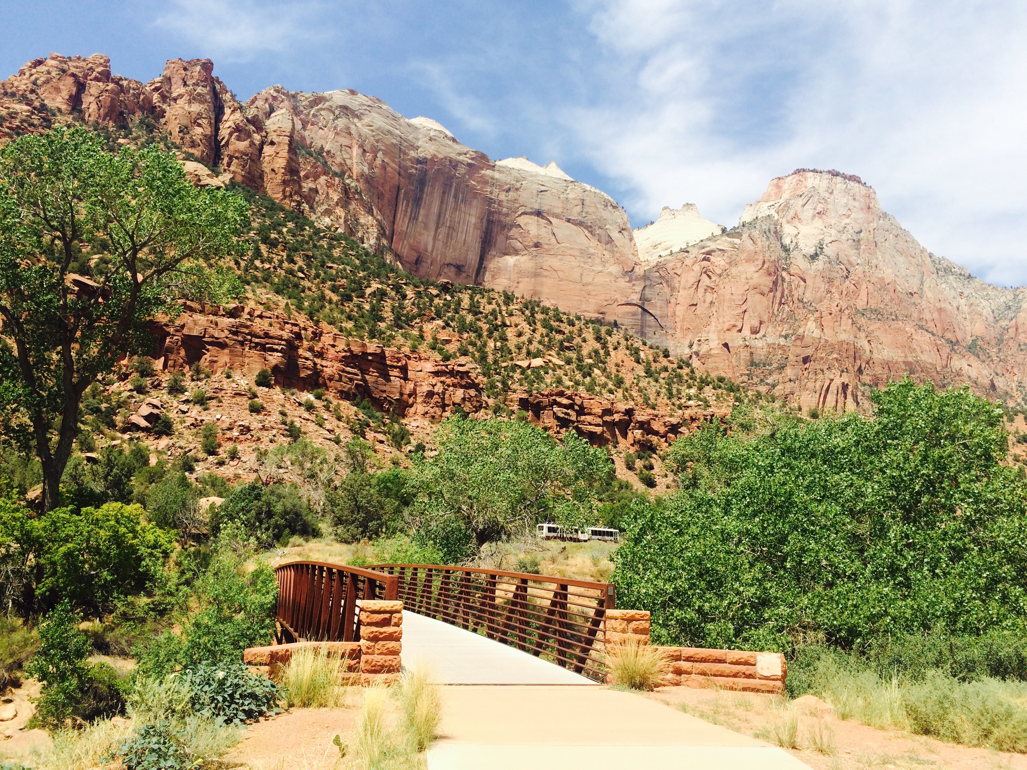 Zion-Powell-Antilope