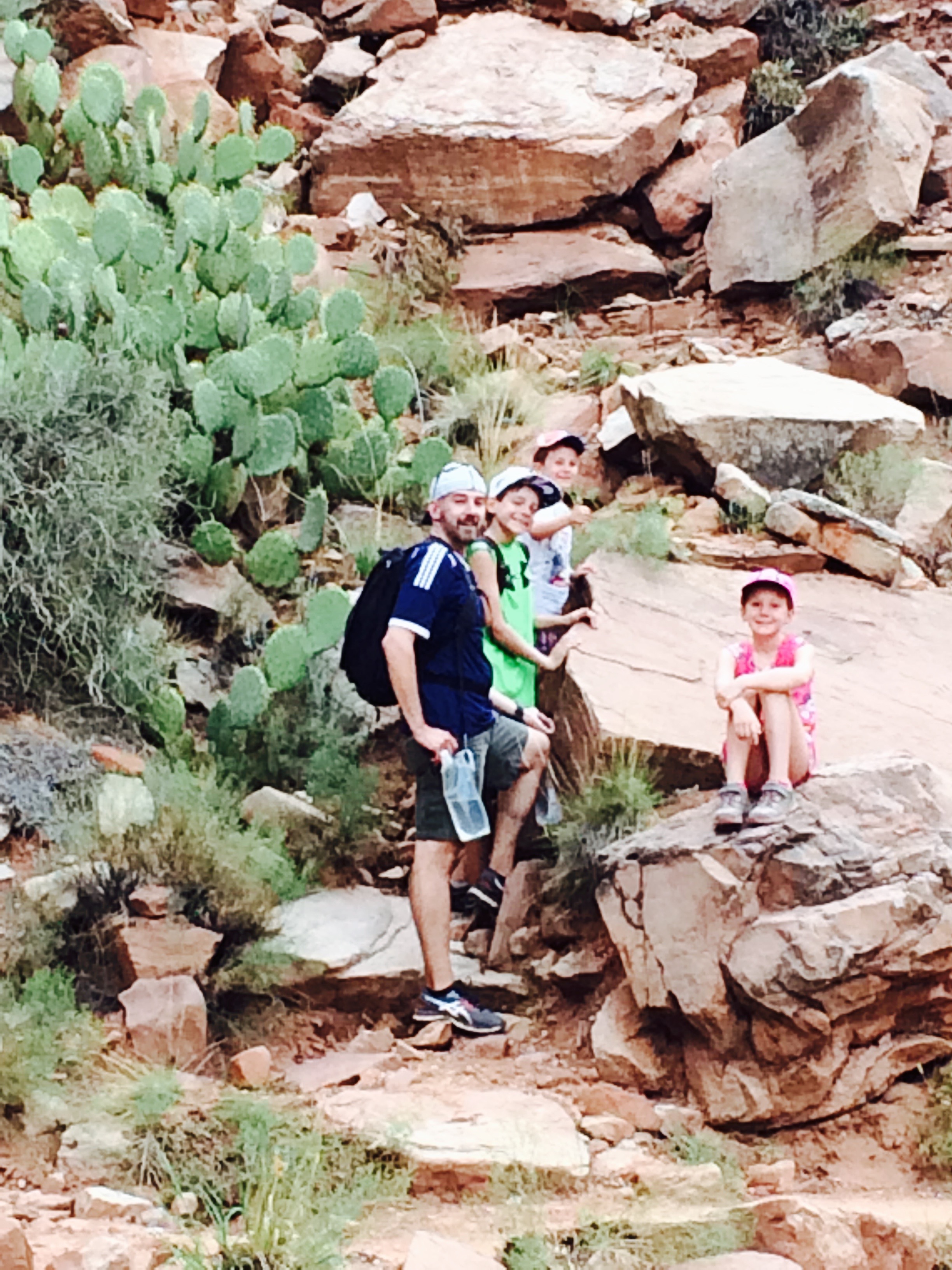 Zion-Powell-Antilope