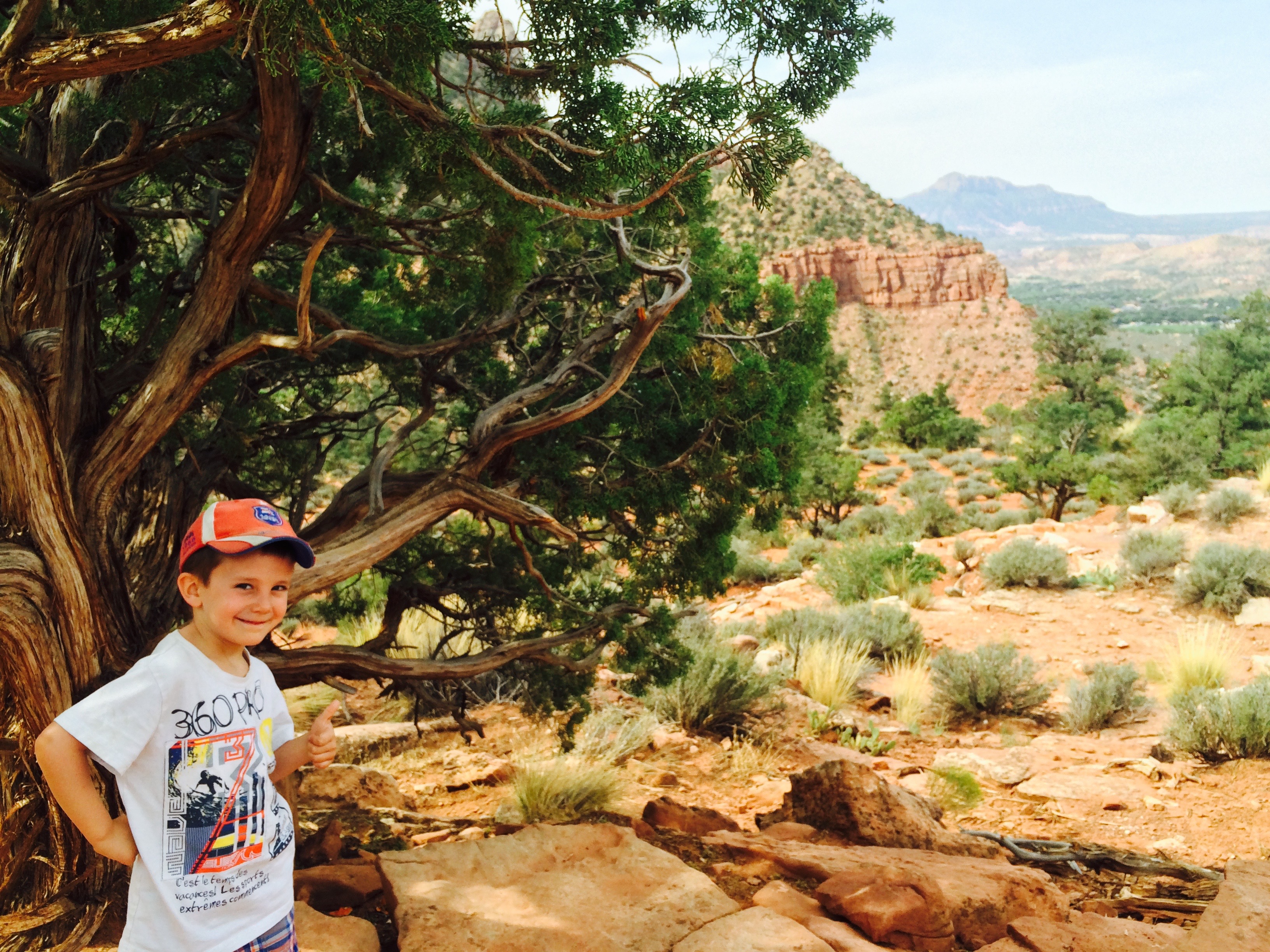 Zion-Powell-Antilope