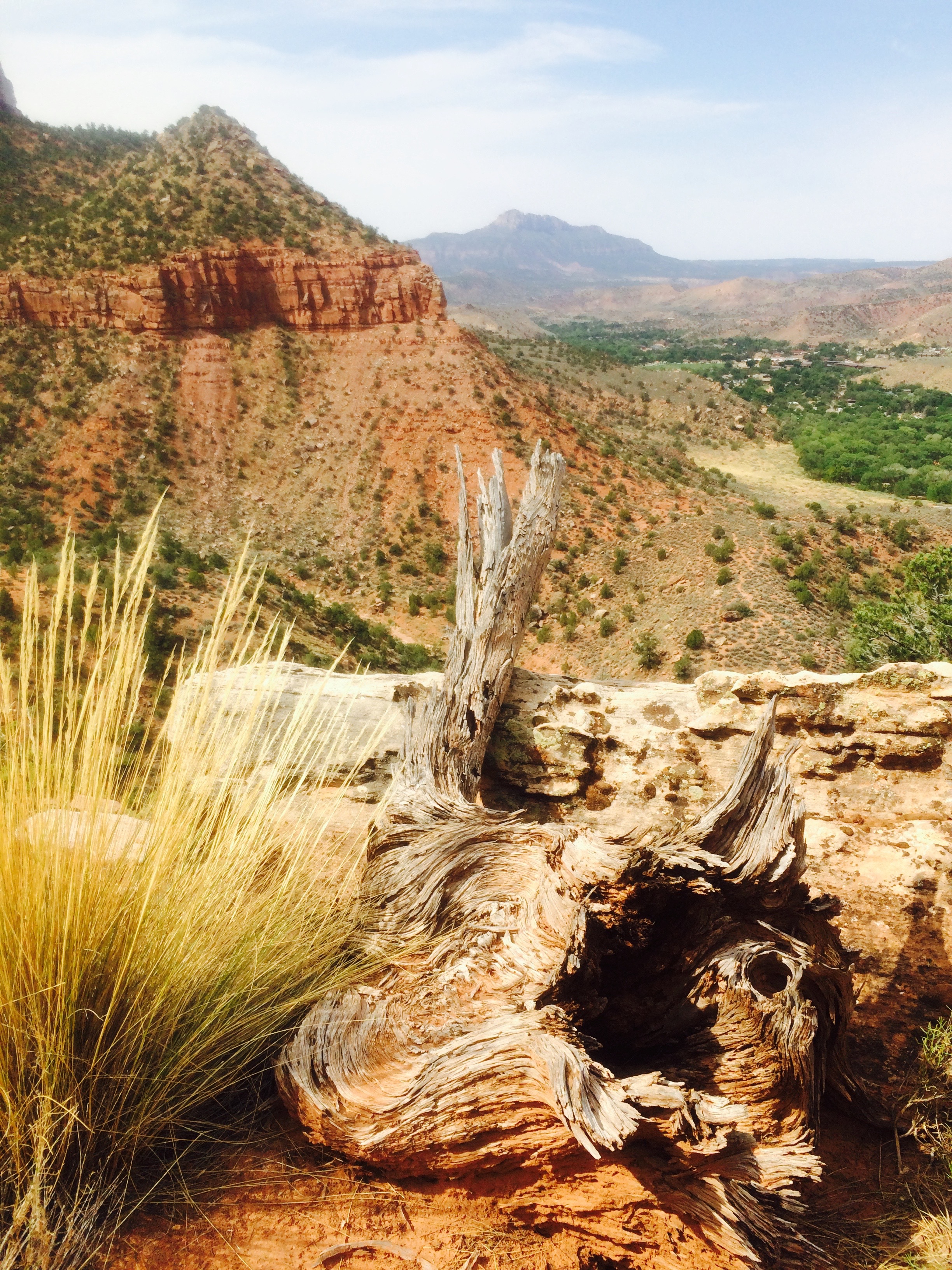Zion-Powell-Antilope