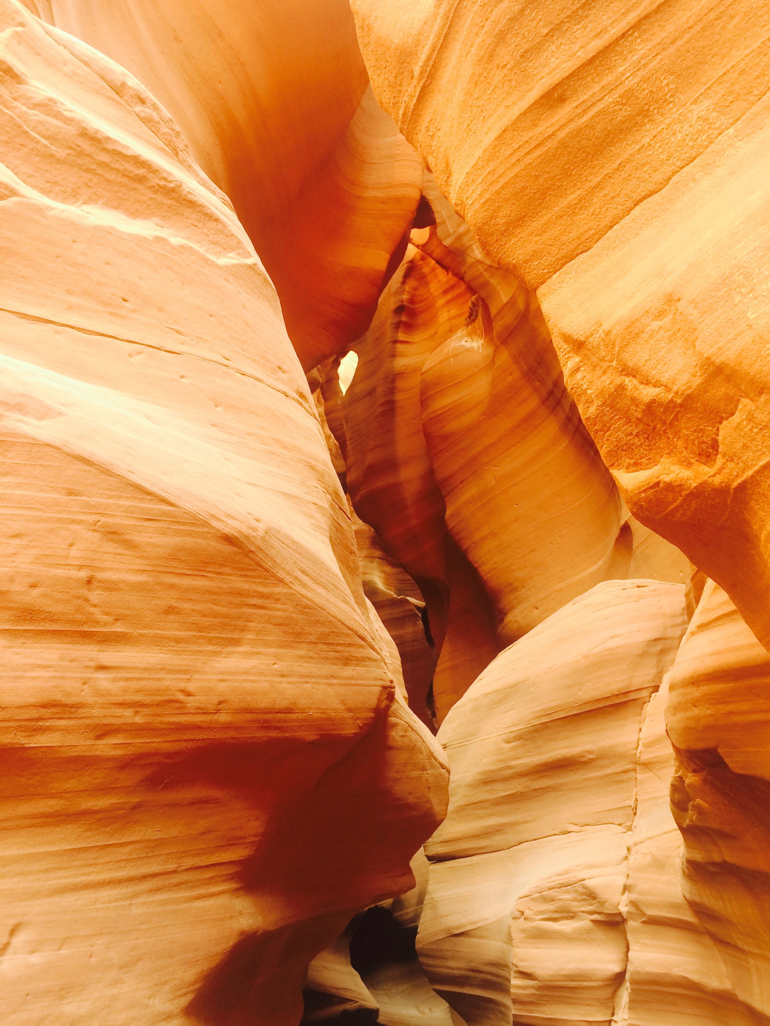 Zion-Powell-Antilope